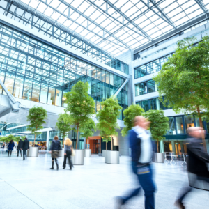 Insight Magazine - Cromwell Funds Management